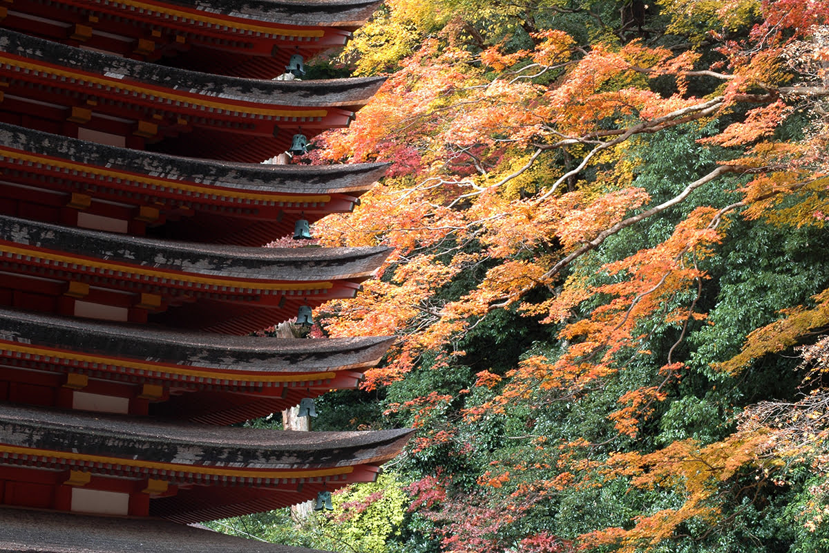 Nara Autumn Itinerary: Plan a Fall Foliage Tour by Rental Car