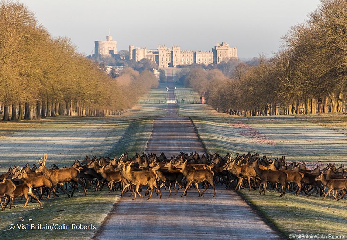 Free Travel Guide for Great Britain - What to do in Great Britain