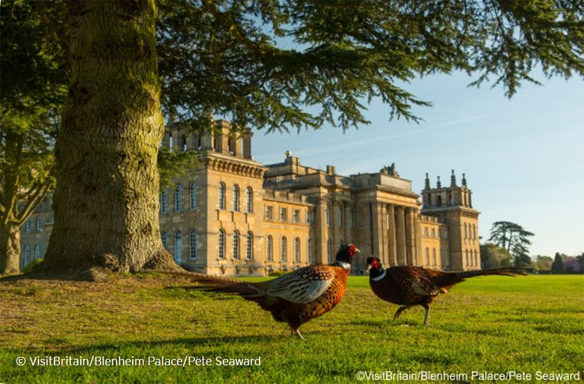 Free Travel Guide for Great Britain - What to do in Great Britain