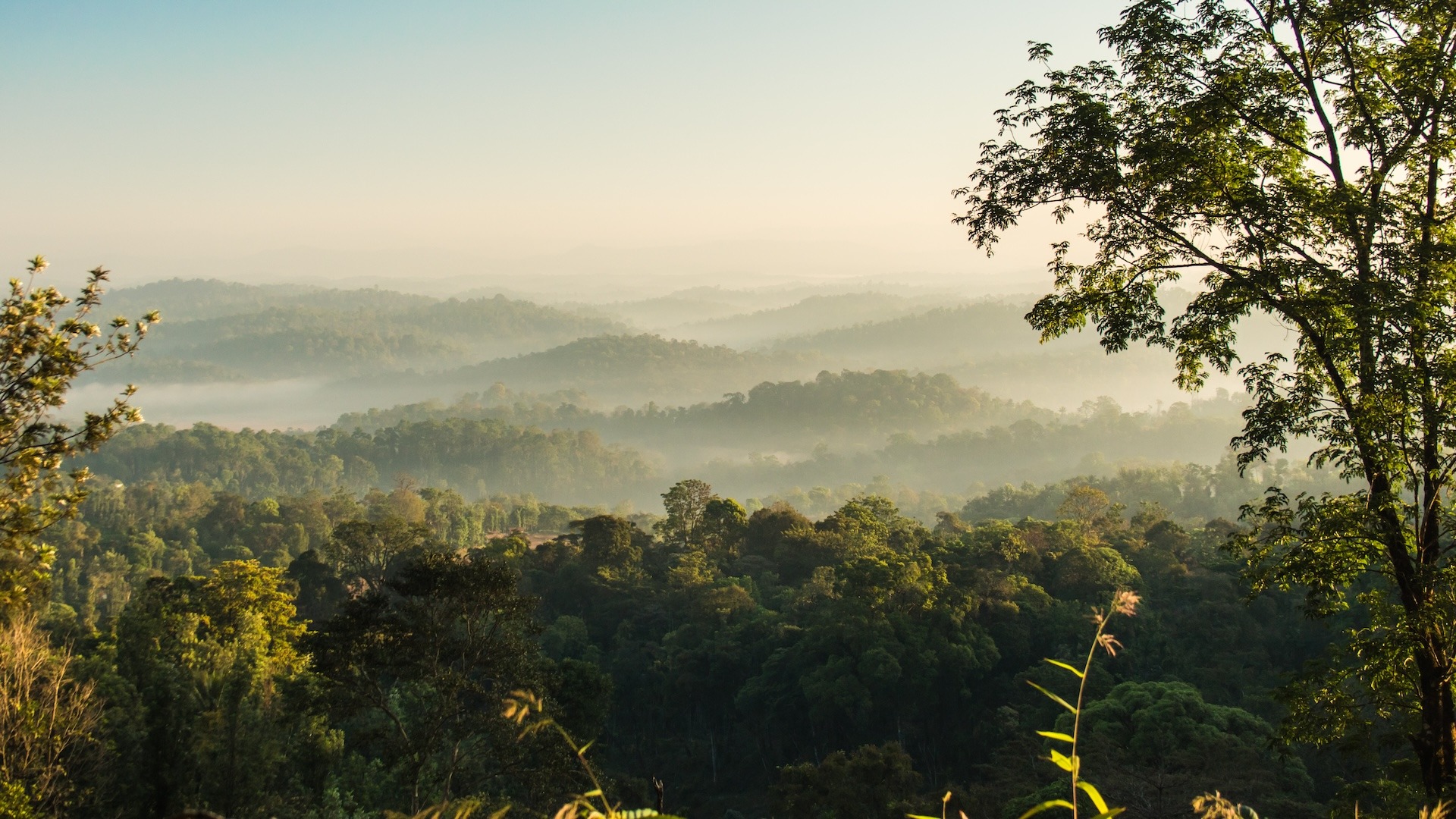 Coorg Sightseeing Itinerary: Discovering the Rich Culture and ...