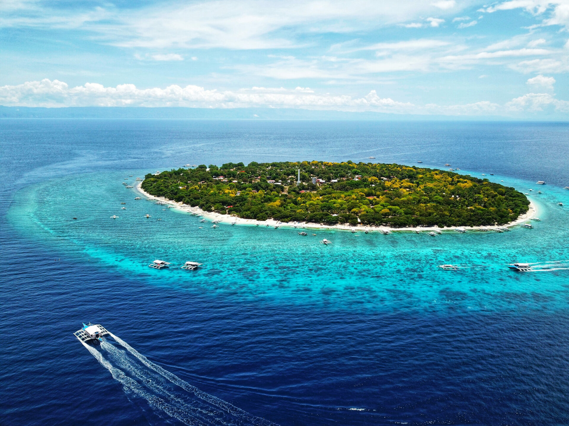 7 Days in Bohol Itinerary: A Comprehensive Guide for First-Time ...