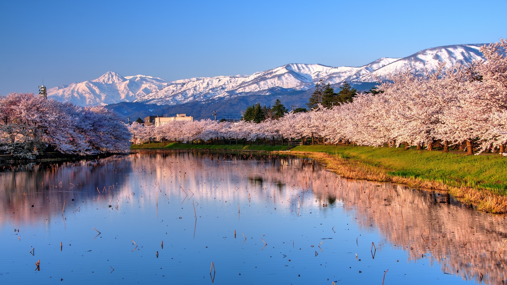 Unveiling Niigata: A Comprehensive Guide to Where to Stay and What to Do » Agoda: See The World ...