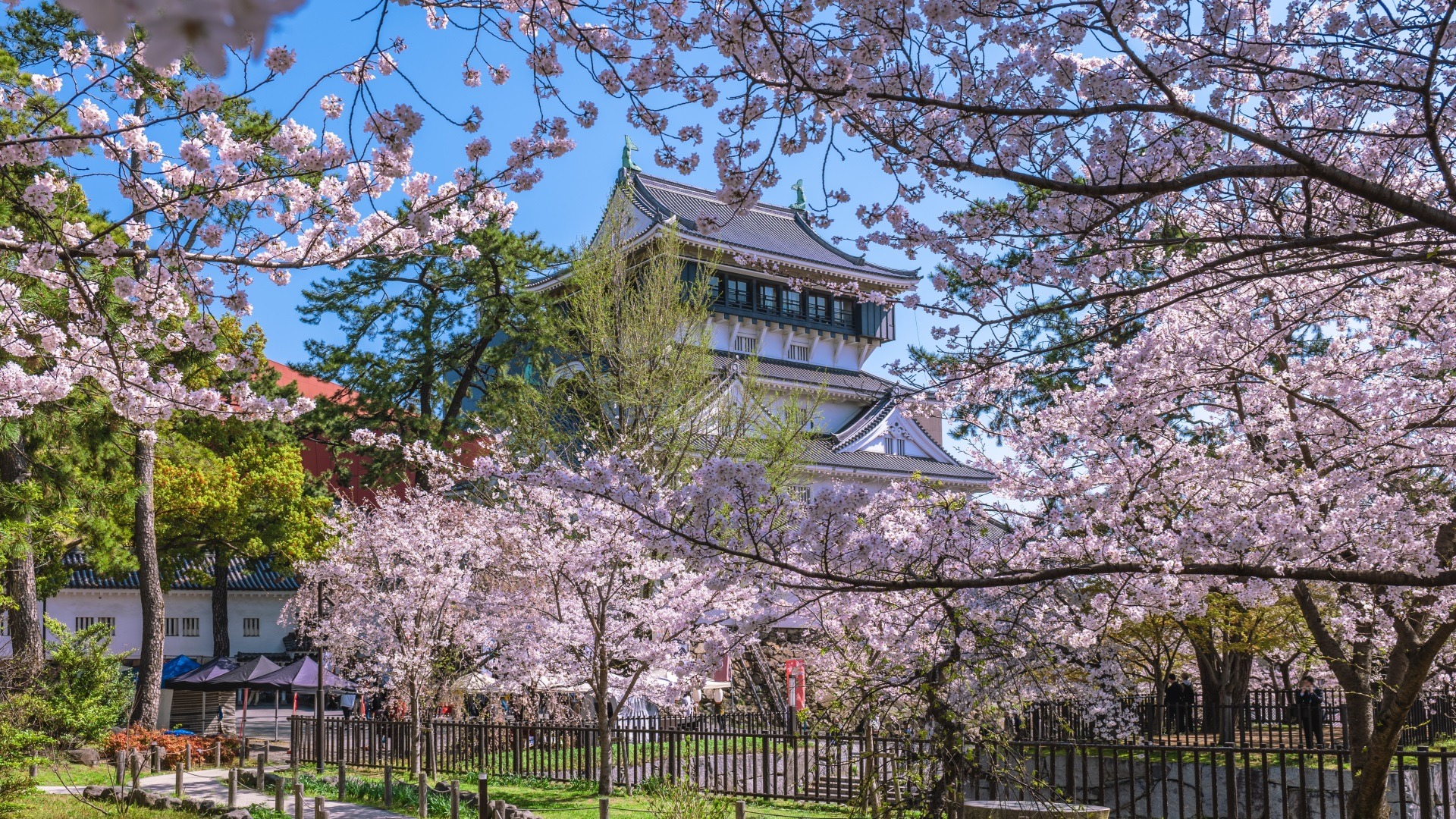 Unveiling Kitakyushu: Your Ultimate Guide to the Best Tourist Spots » Agoda: See The World For Less