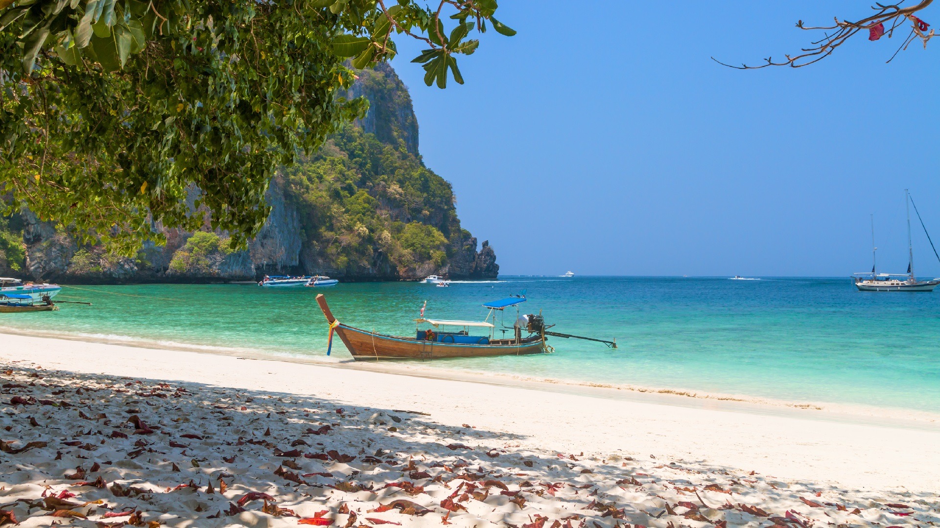 Discover Ko Phi Phi's Best Things to Do for Sea Lovers » Agoda: See The ...