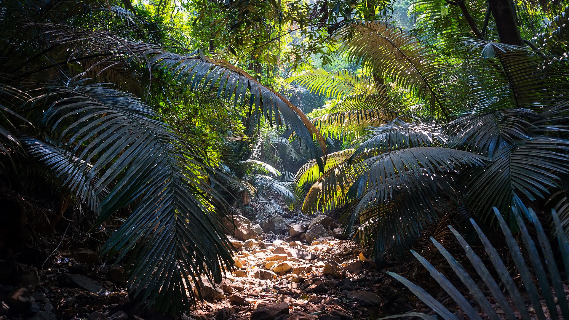 Trekking in Goa | Top Hiking Trails and Adventure Activities » Agoda ...