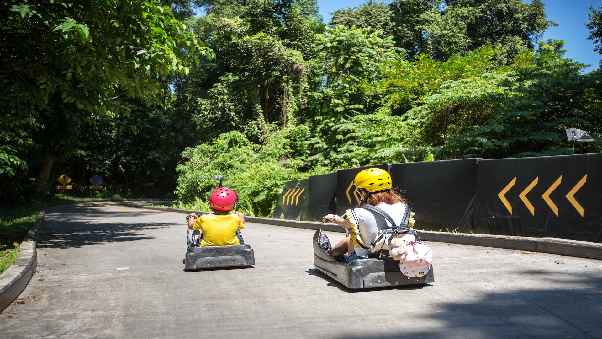 Thrill Seekers' Paradise: Ultimate Guide to Skyline Luge in Malaysia ...
