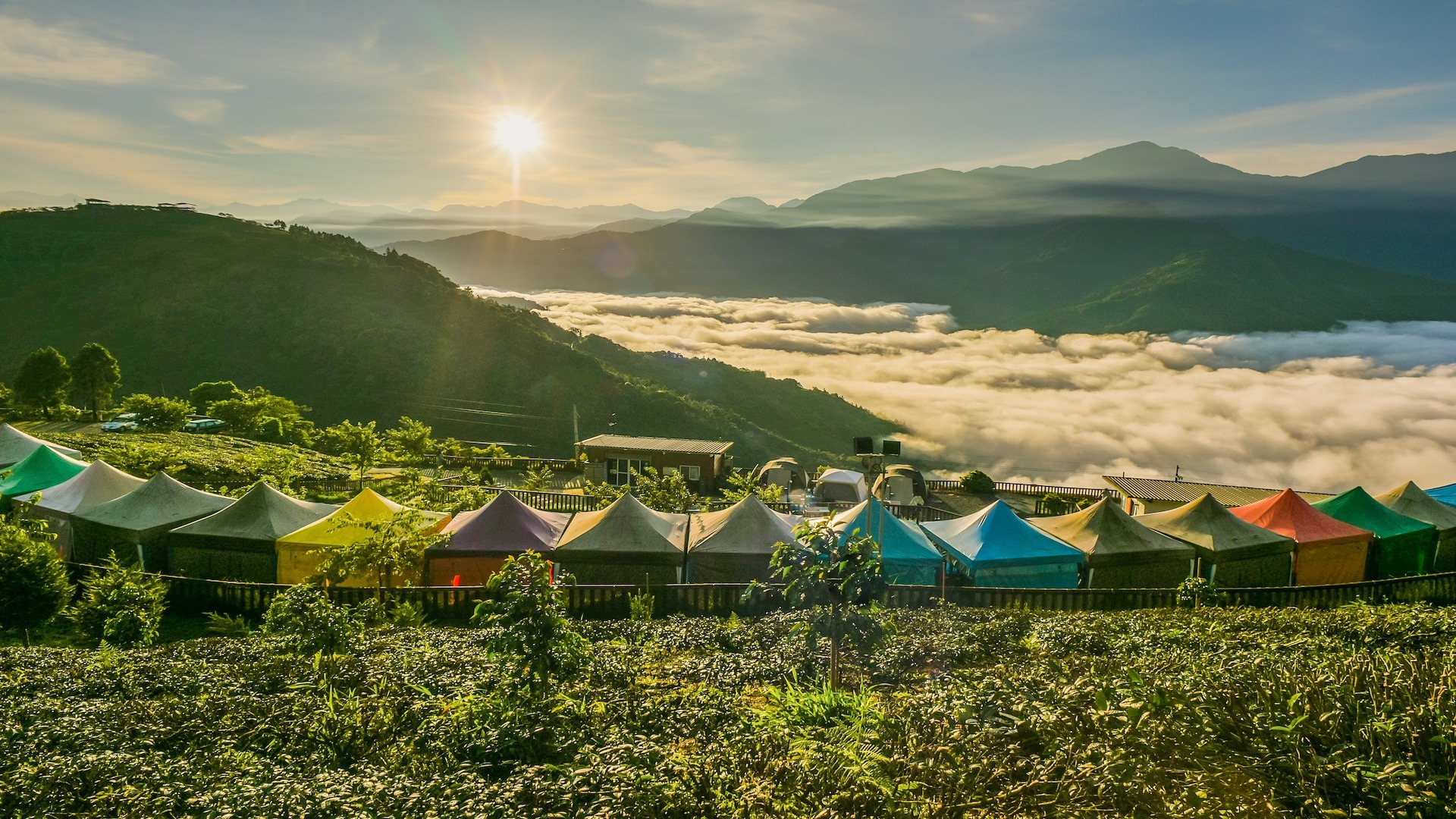 Explorer la nature sauvage de Taïwan : Le guide ultime des meilleurs ...