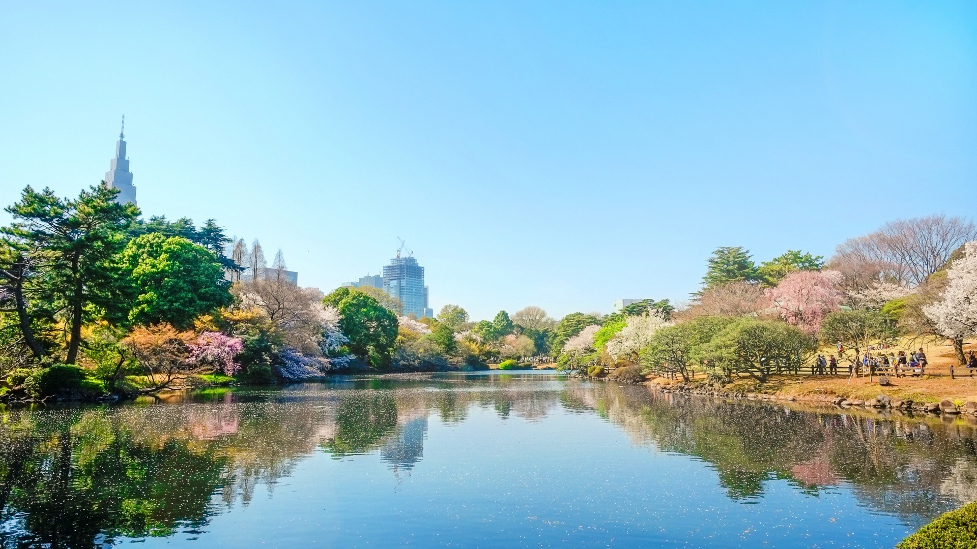 Exploring Shinjuku Gyoen: A Tranquil Oasis in the Heart of Tokyo ...
