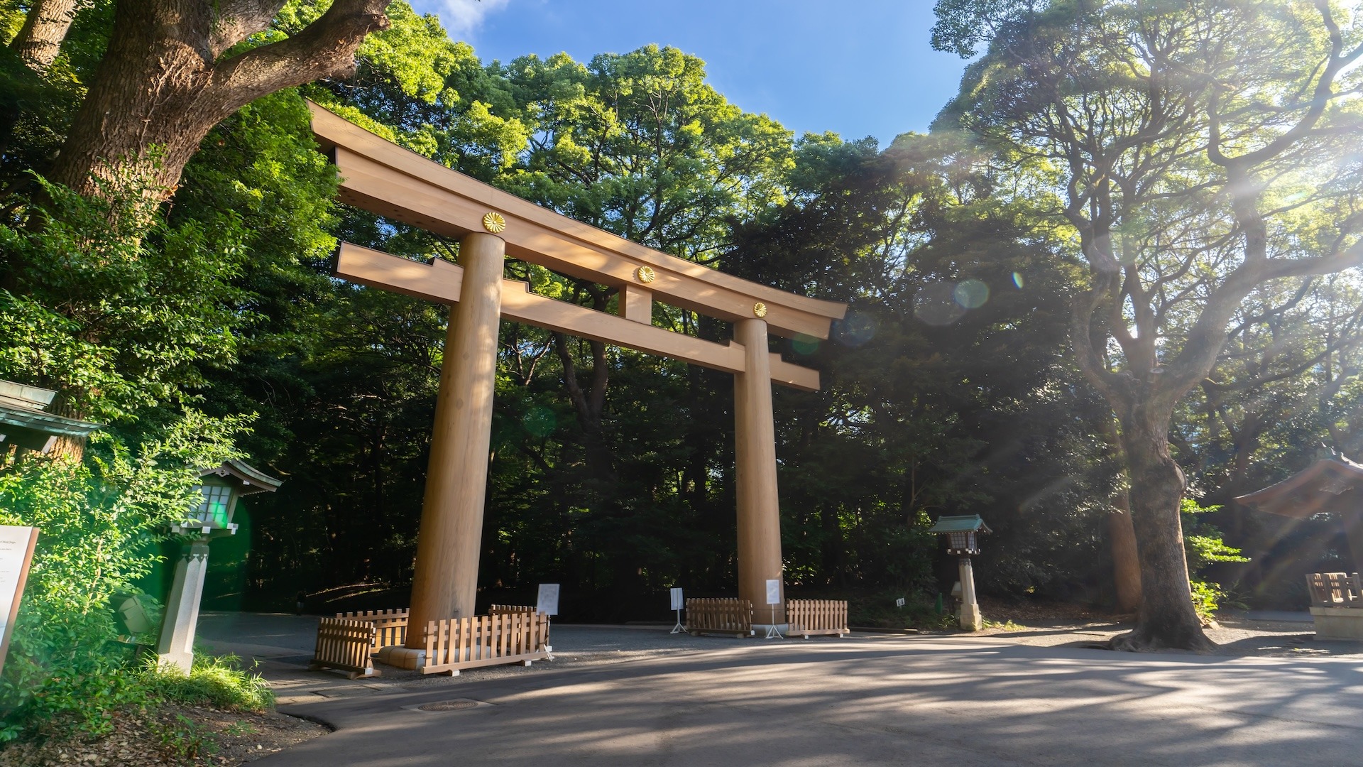 Unveiling the Tranquil Oasis: A Complete Travel Guide to Meiji Shrine ...