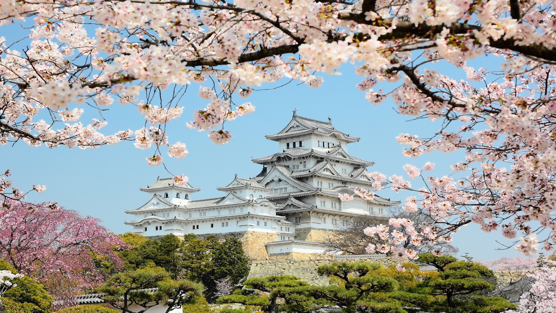 Unlock the Best of Kansai: Ultimate Guide to Exploring Japan with the ...