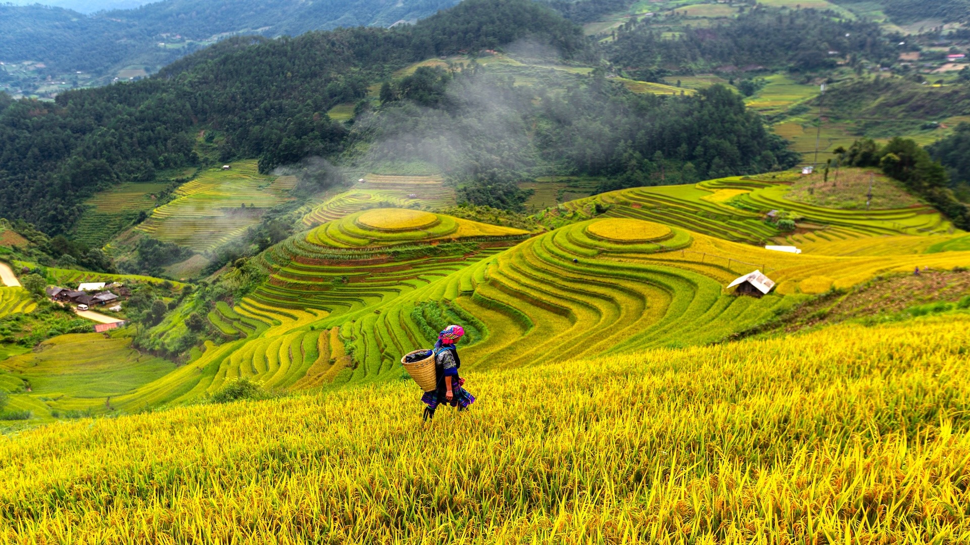 Unveiling Sapa: Top Adventures and Hidden Gems for an Unforgettable ...