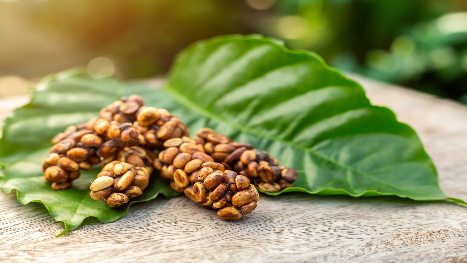 Poop Coffee Vietnam Get The Scoop On Cat Poop Coffee (Yes, It's A Real