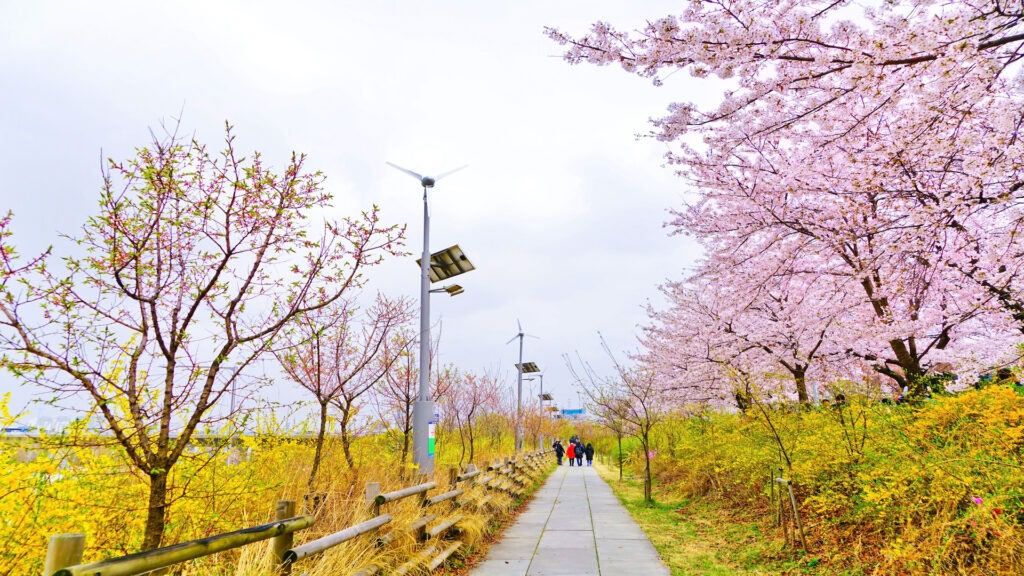 Khám phá Công viên Yeouido Hangang ở Seoul: Hướng dẫn du lịch đầy đủ đến Urban Oasis » Agoda ...