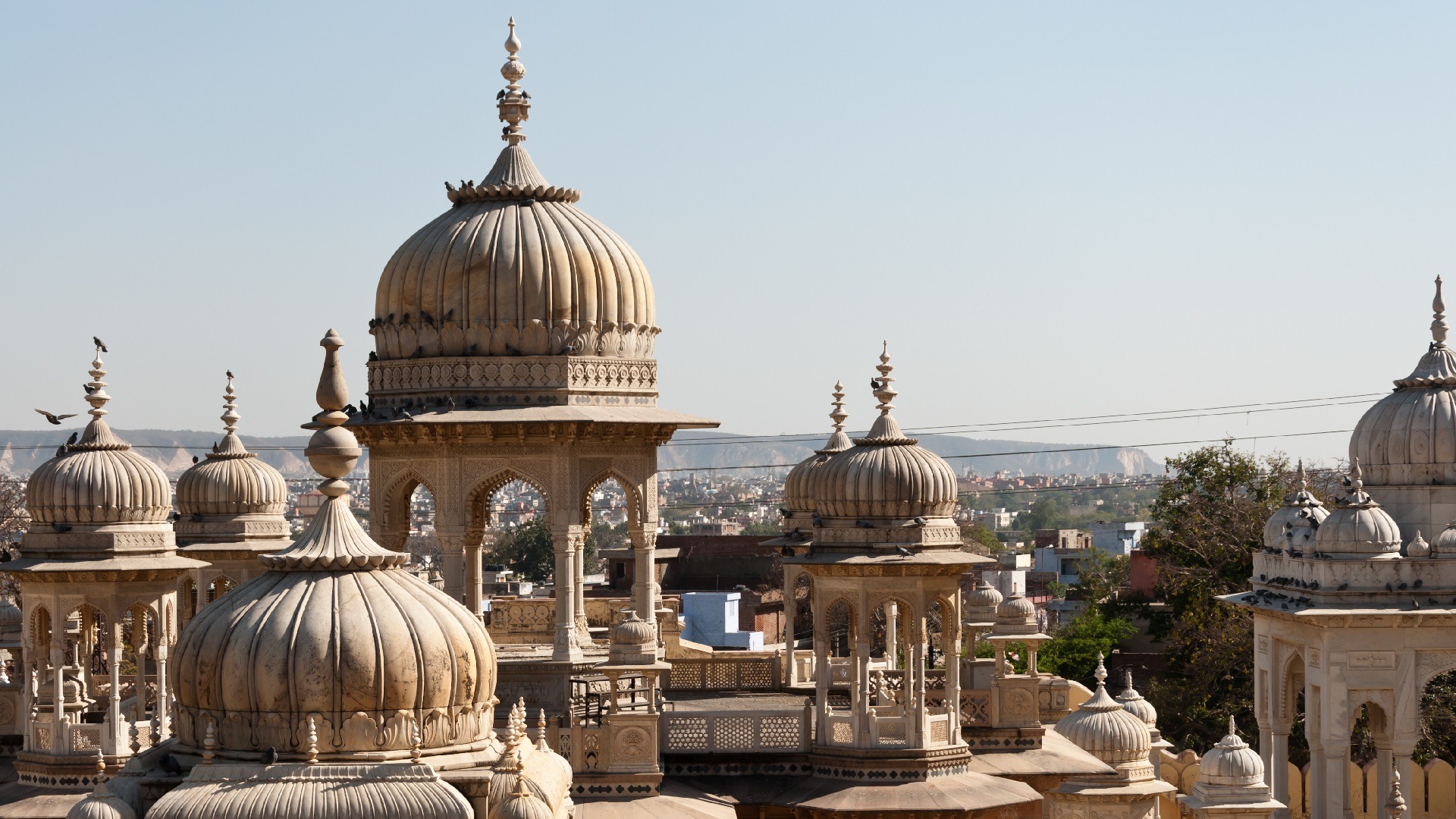 Discover the Cheapest Time to Fly to India: A Smart Traveler's Guide ...