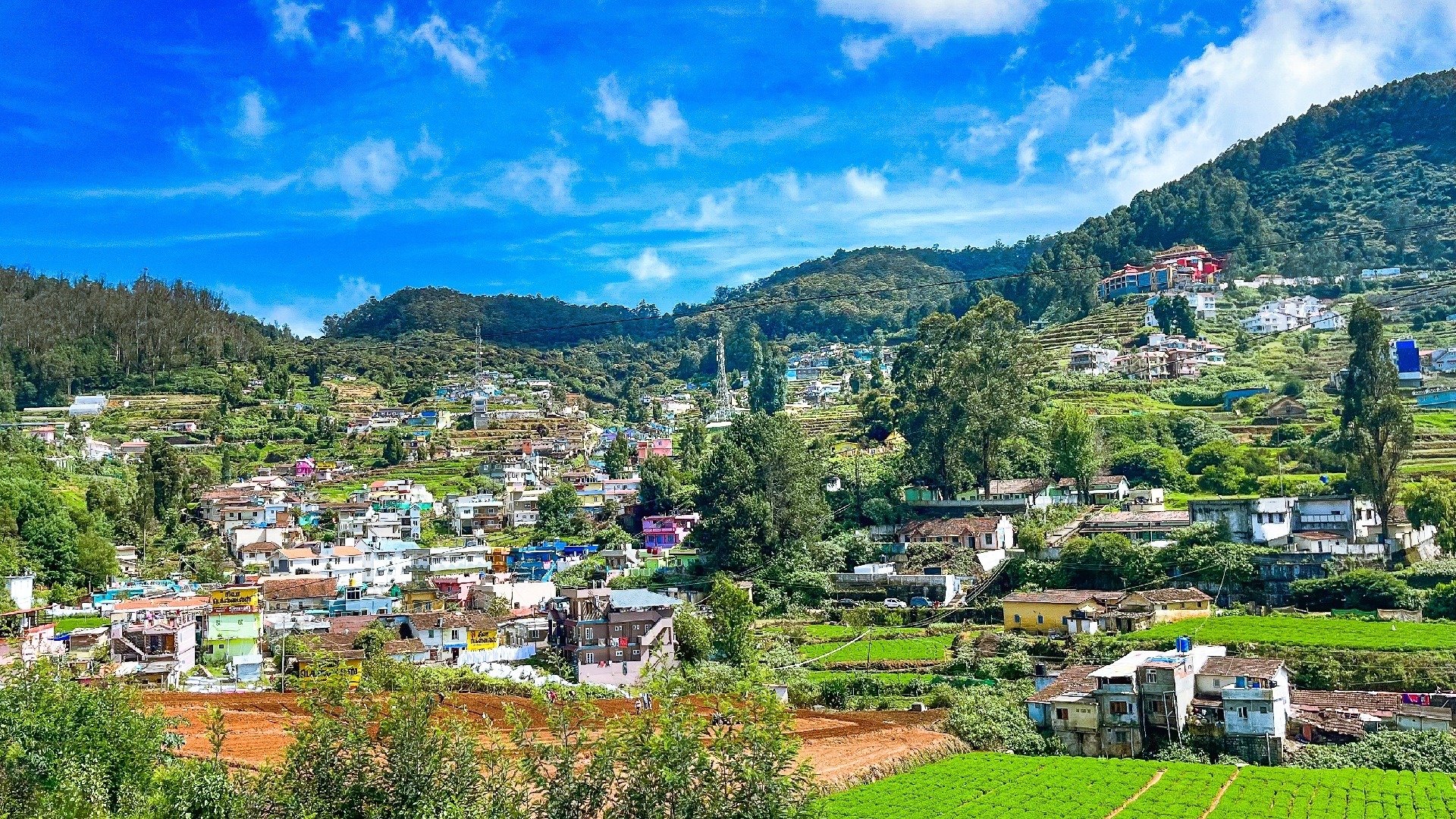 Discover Ooty: Best Time to Visit for Unforgettable Moments