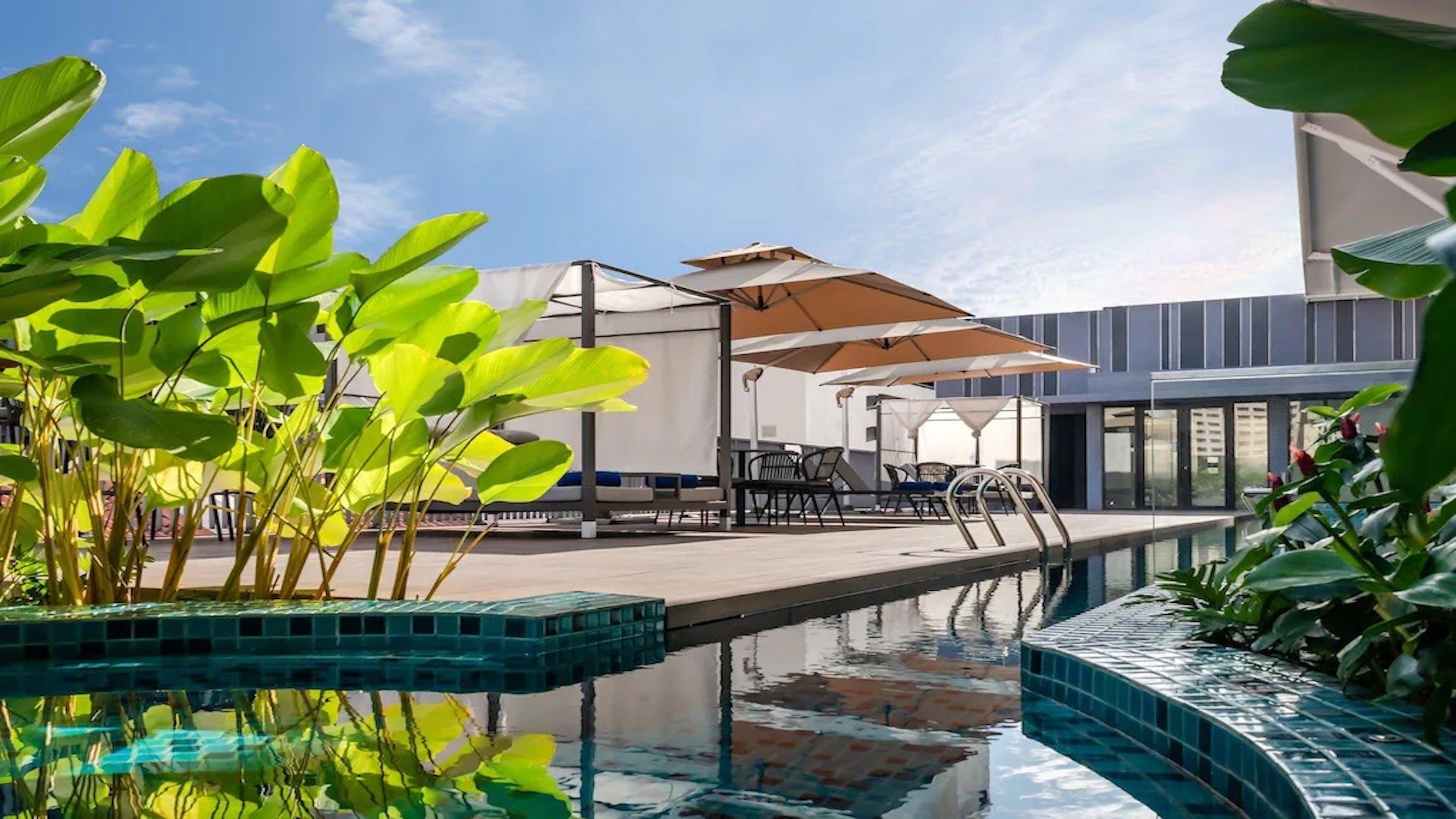 Explore Penang: Pet-Friendly Hotels for You and Your Pet » Agoda: See ...