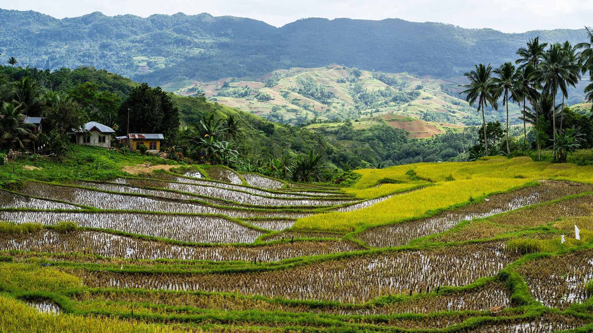 Things to do in Cebu: Top Attractions and Activities in the Queen City ...